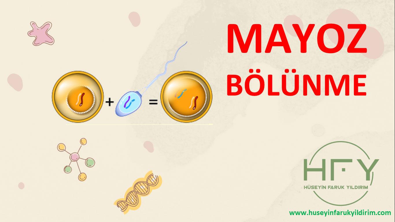 Hüseyin Faruk YILDIRIM 27 Kasım 2021